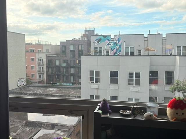 Sunny Williamsburg room w laundry/rooftop/gym