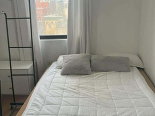 Sunny bedroom in BedStuy duplex