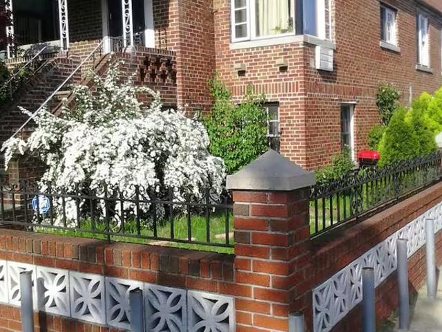 Sunny Cozy Room in East Flatbush