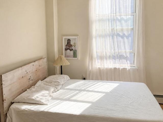 Sunny Fort Greene Sublet Available