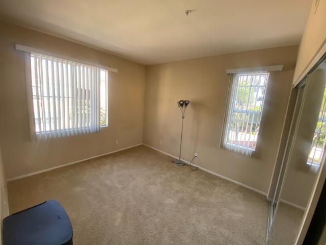 Sunny private bed/bath, tidy/clean/respectful