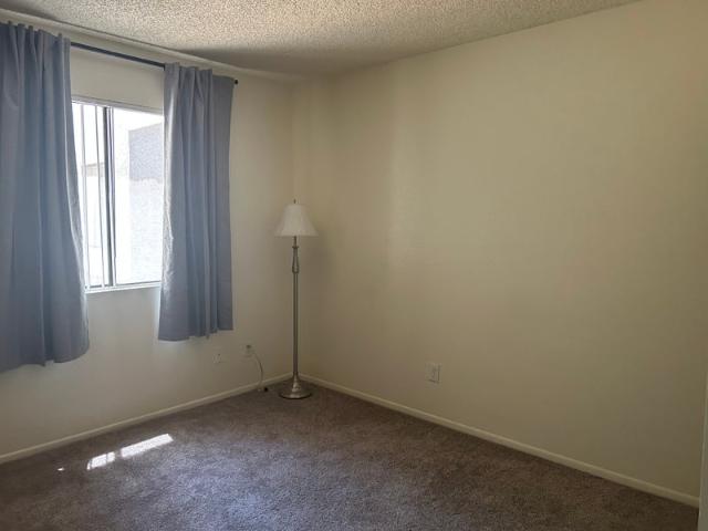 Sunny Private Room with Fast Wi‑Fi or Ethernet