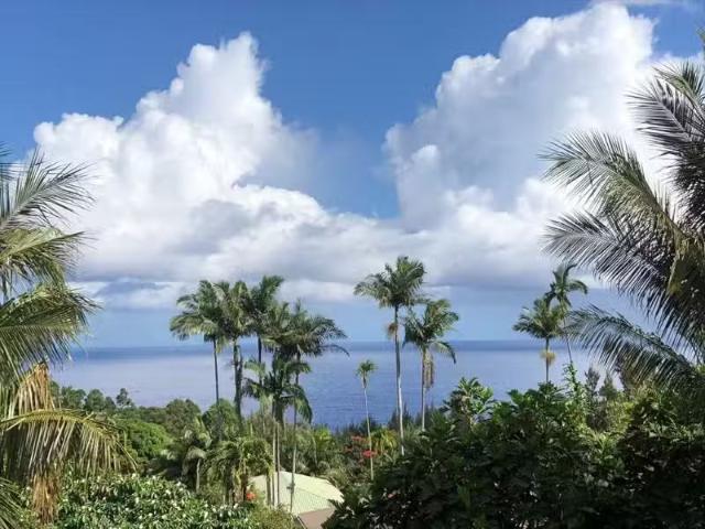 Sunny, Quiet 1 Bdrm w/Ocean Views 44 337 Puaolena St