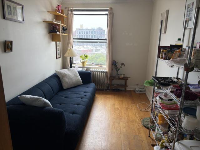 Sunny rooms available in Williamsburg apt