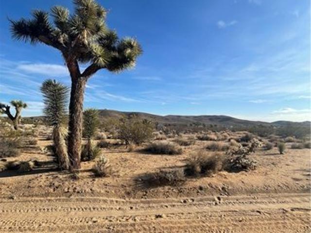 Sunny Sands, Yucca Valley, CA 92284
