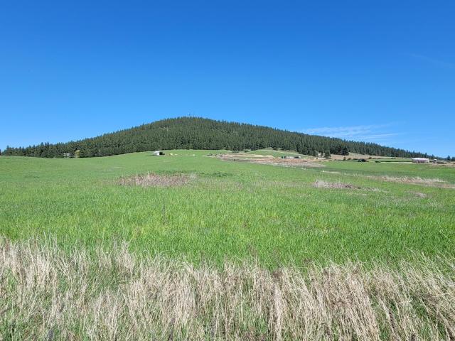 Sunny Slopes Rd, Lot 4, Worley, ID 83876 | MLS #26 3178