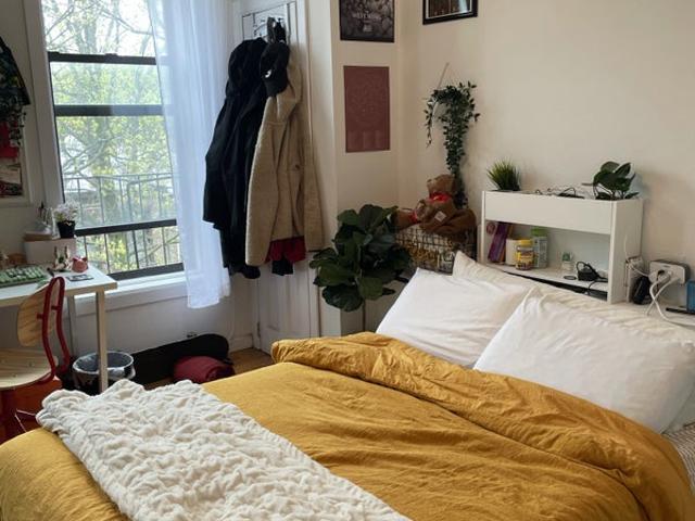 Sunny Spacious Bedroom in Park Slope