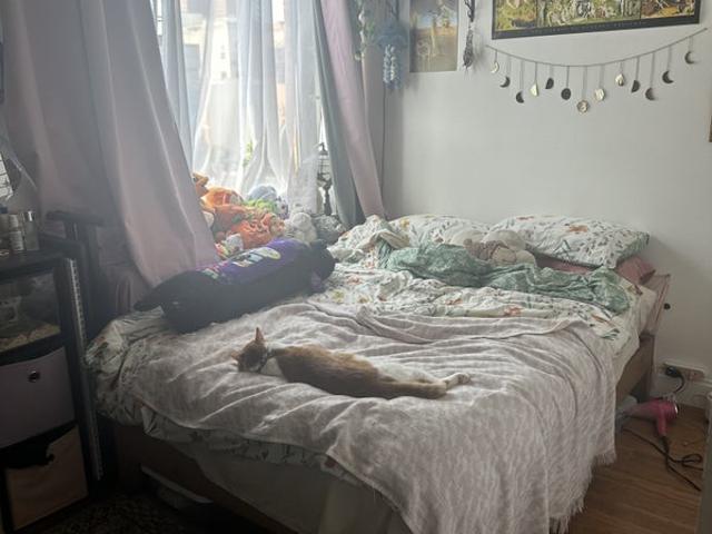 Sunny Spacious Room in Bed Stuy