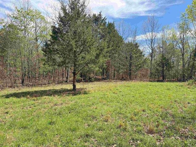 Sunnyland Rd, Mountain View, AR 72560