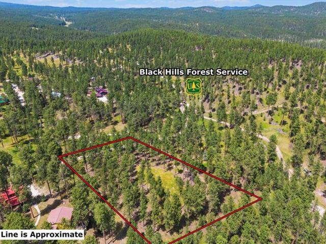 Sunnyside Gulch Rd Lot 11, Silver City, SD 57702