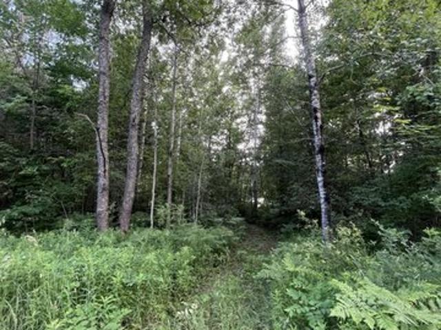 Sunridge Dr Lot 251, Elmira, MI 49730
