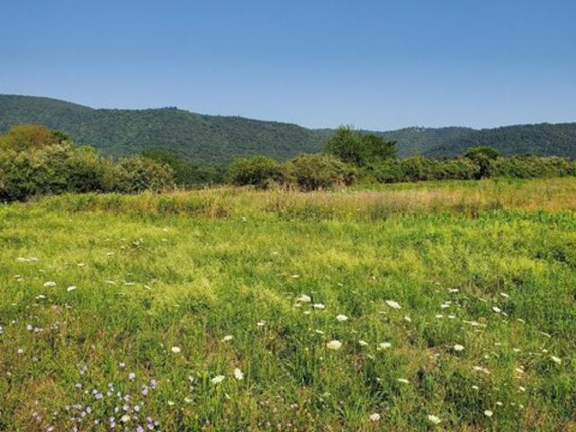Sunrise Ln Lot,fort Loudon, Plot For Sale