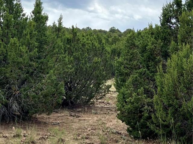 Sunrise Rd, Walsenburg, CO 81089 | MLS #9022