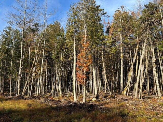 Sunrise Shore Rd, Steuben, Plot For Sale
