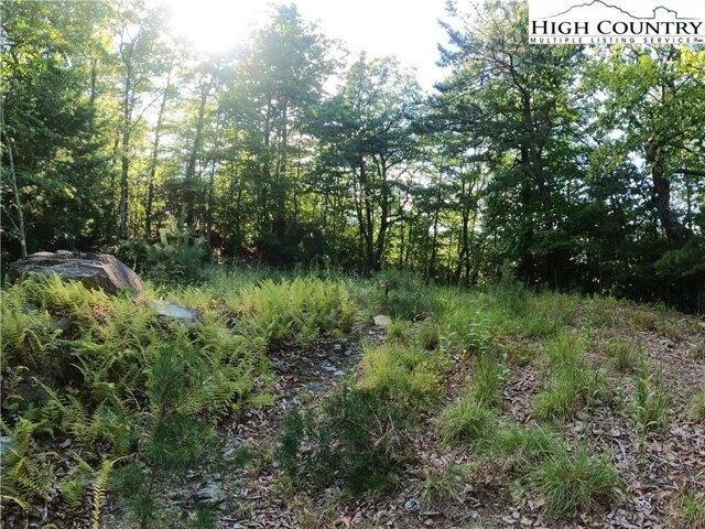 Sunrise Valley Dr Lot,boone, Plot For Sale