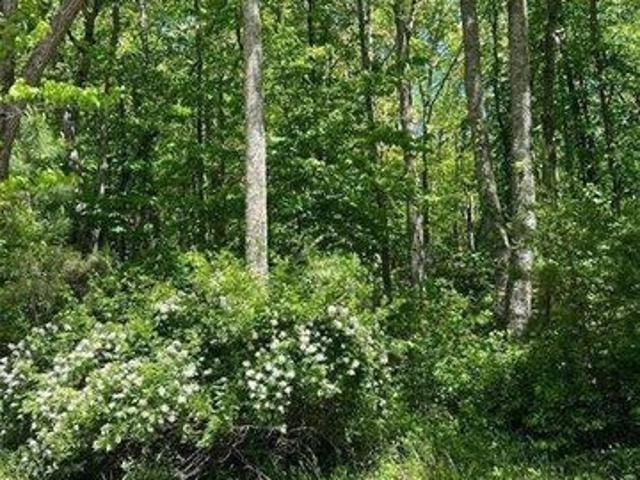 Sunrise Valley Rd, Blue Ridge, GA 30513