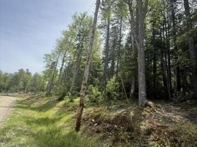 Sunset Cove Way Lot,orland, Plot For Sale