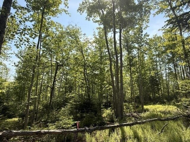 Sunset Cove Way Lot,orland, Plot For Sale