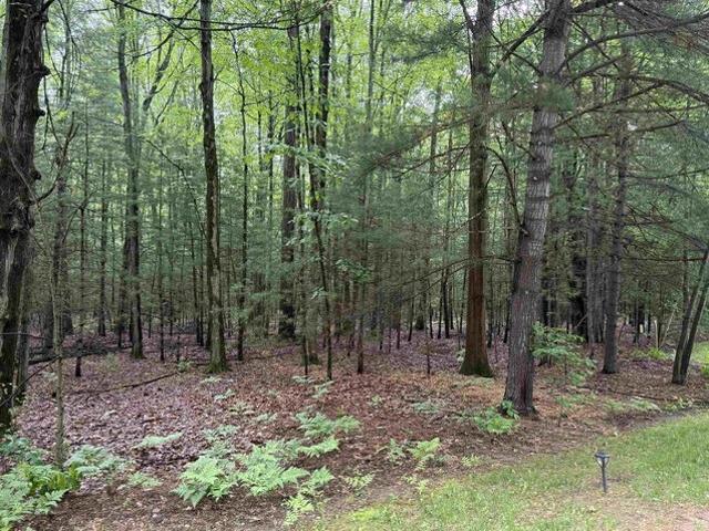 Sunset Ct Lot 15A, Sanford, MI 48657