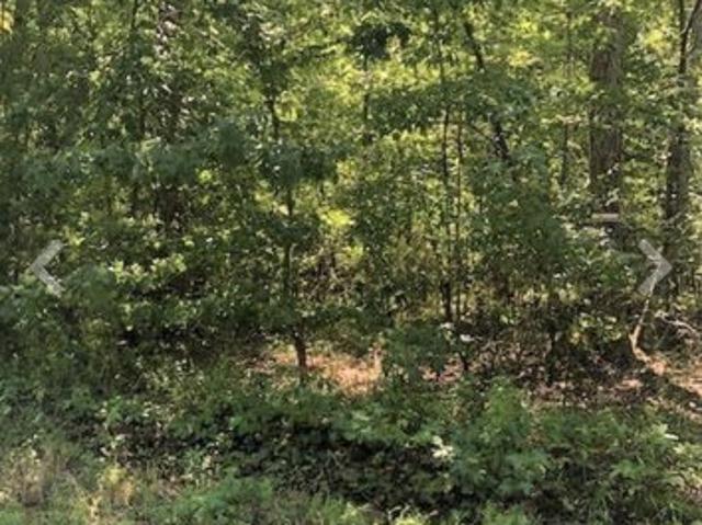 Sunset Dr, Manchester, TN 37355