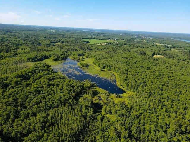 Sunset Ln, Birchwood, WI 54817