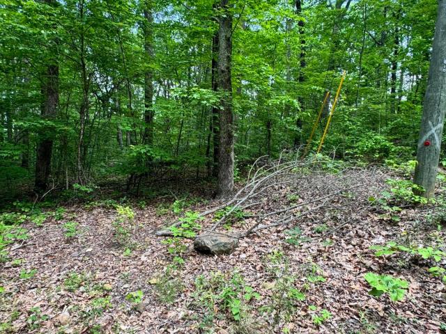 Sunset Ln, Unit 4, Seymour, TN 37865 | MLS #1333