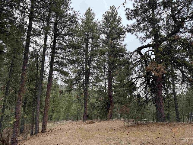 Sunset Loop Lot 16, Cascade, ID 83611