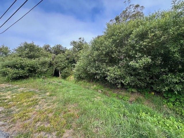 Sunshine Valley Rd, Moss Beach, CA 94038
