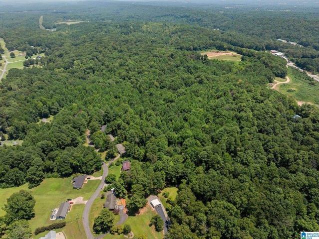 Sunshine Ave, Oneonta, AL 35121