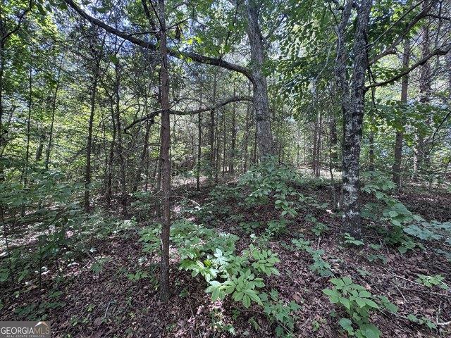 Sunshine Rdg, Toccoa, GA 30577