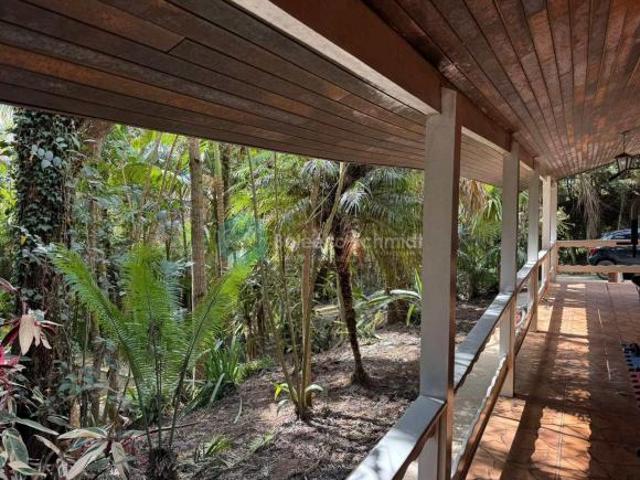 Sua Casa na Floresta: Um Refúgio em Santo Antonio do Pinhal