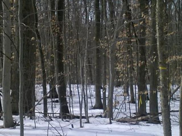Suffield St, Suffield, CT 06078