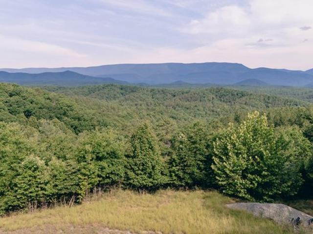 Sugar Tree Hollow Rd, Eagle Rock, VA 24085
