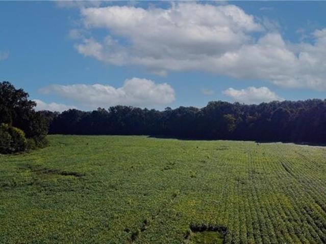 Sugar Valley Rd, Sugar Valley, Plot For Sale