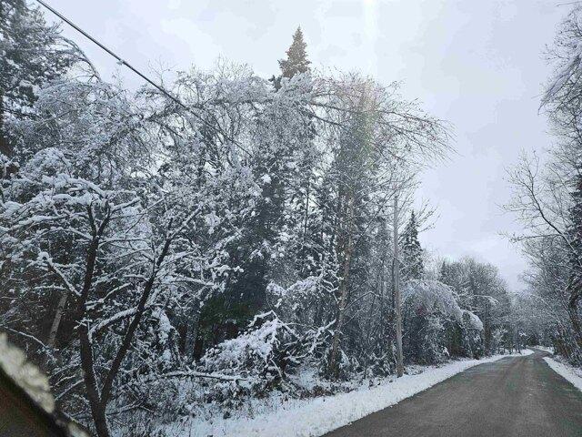 Sugar Hill NH 03586 101750889