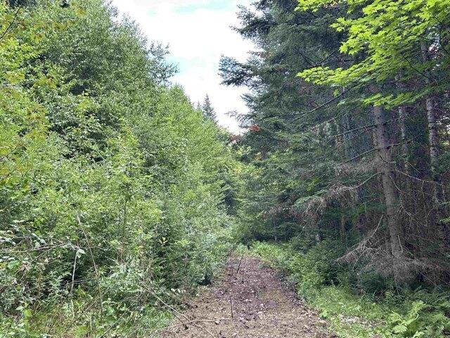 Sugar Hill Rd Lot,stewartstown, Plot For Sale