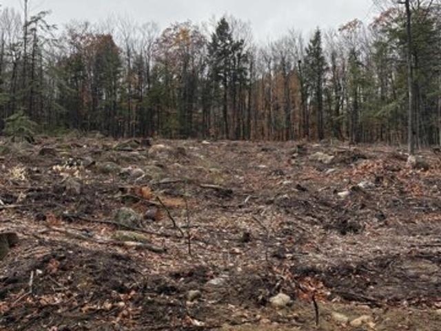Sugar Loaf Dr Lot,ossipee, Plot For Sale