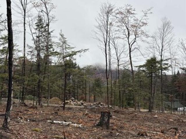 Sugar Loaf Dr Lot,ossipee, Plot For Sale