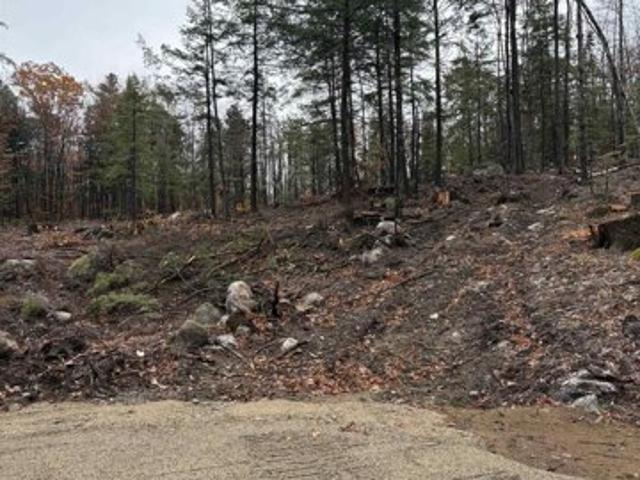 Sugar Loaf Dr Lot,ossipee, Plot For Sale