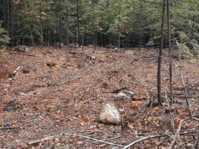 Sugar Loaf Dr Lot,ossipee, Plot For Sale