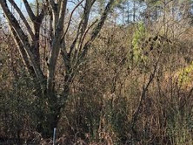Sugar Maple Ct Lot 3, Madisonville, TN 37354