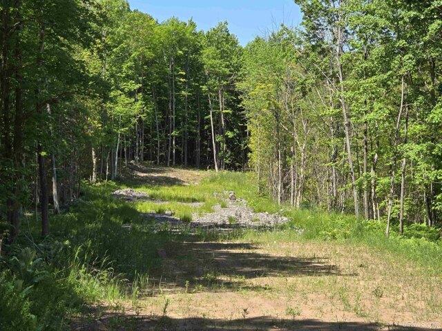 Sugar Maple Ln, Houghton, Plot For Sale
