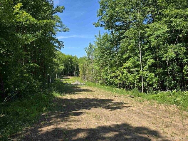 Sugar Maple Ln, Houghton, Plot For Sale