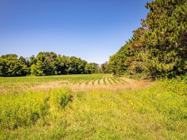 Sugarbush Road