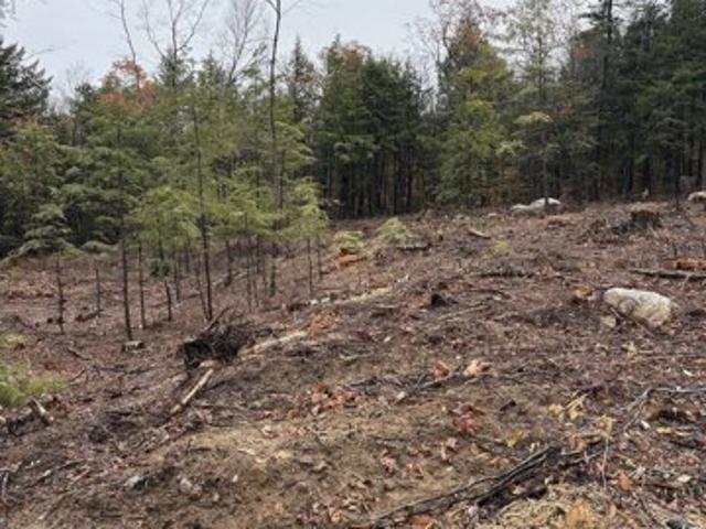 Sugarloaf Dr Lot,ossipee, Plot For Sale