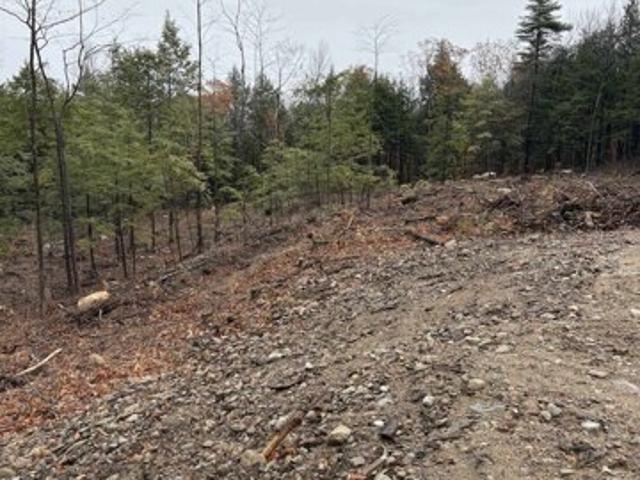 Sugarloaf Dr Lot,ossipee, Plot For Sale