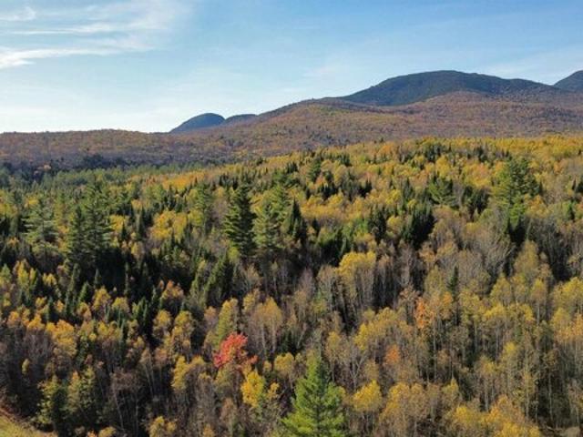 Sullivan Rd, Stark, Plot For Sale