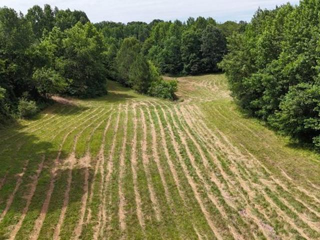 Sulphur Creek Rd, Big Sandy, TN 38221