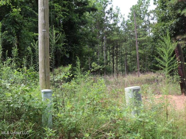 Sulphur Springs Road, Camden, MS 39045