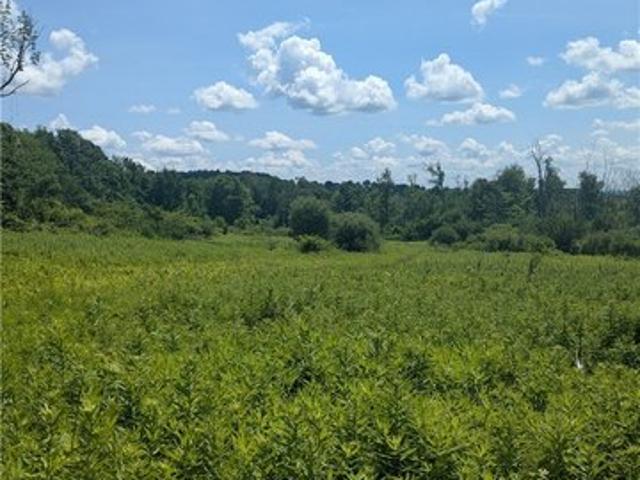 Sulphur Springs Rd, Cold Brook, NY 13324